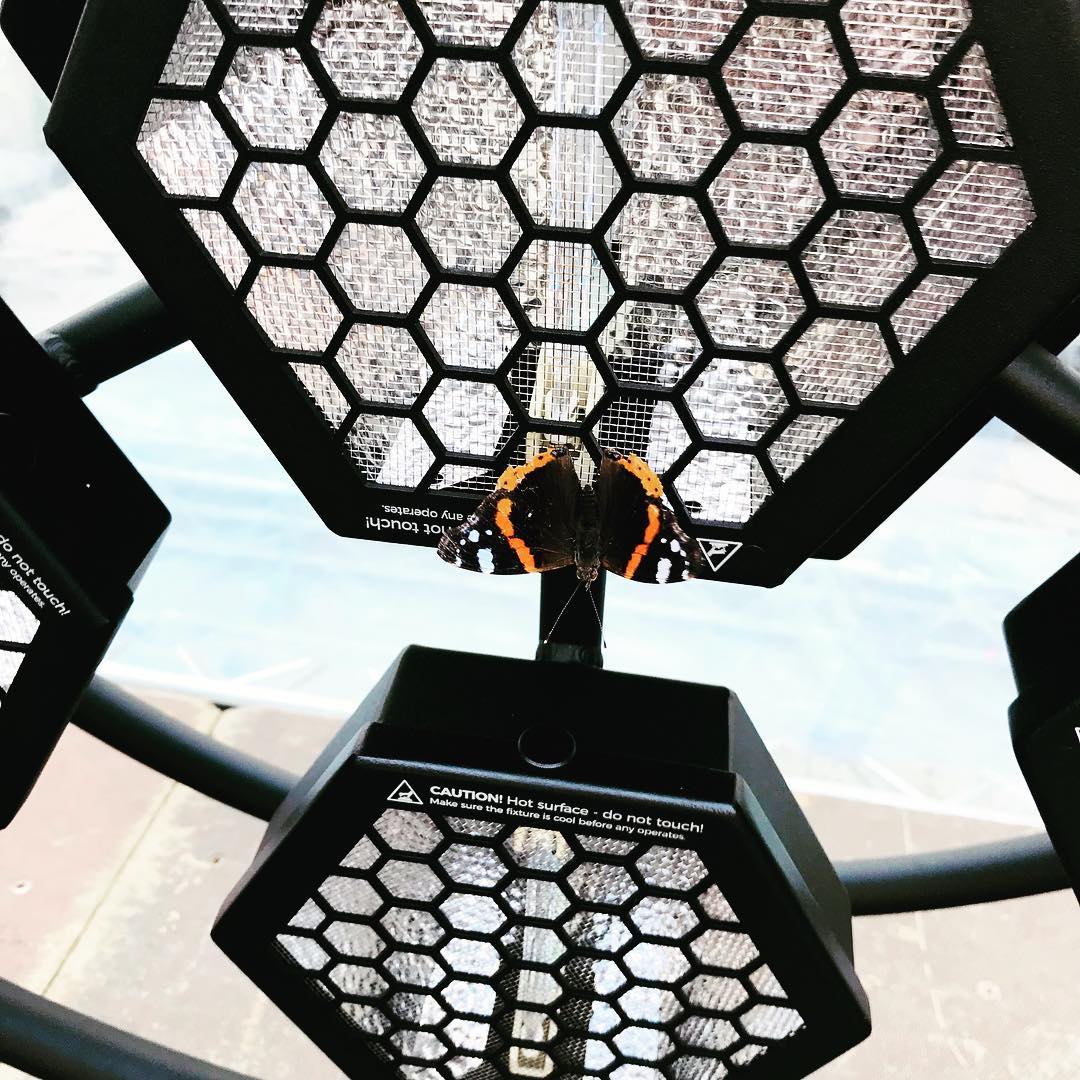 Portman around the World #8 » Portman Lights - stage lighting